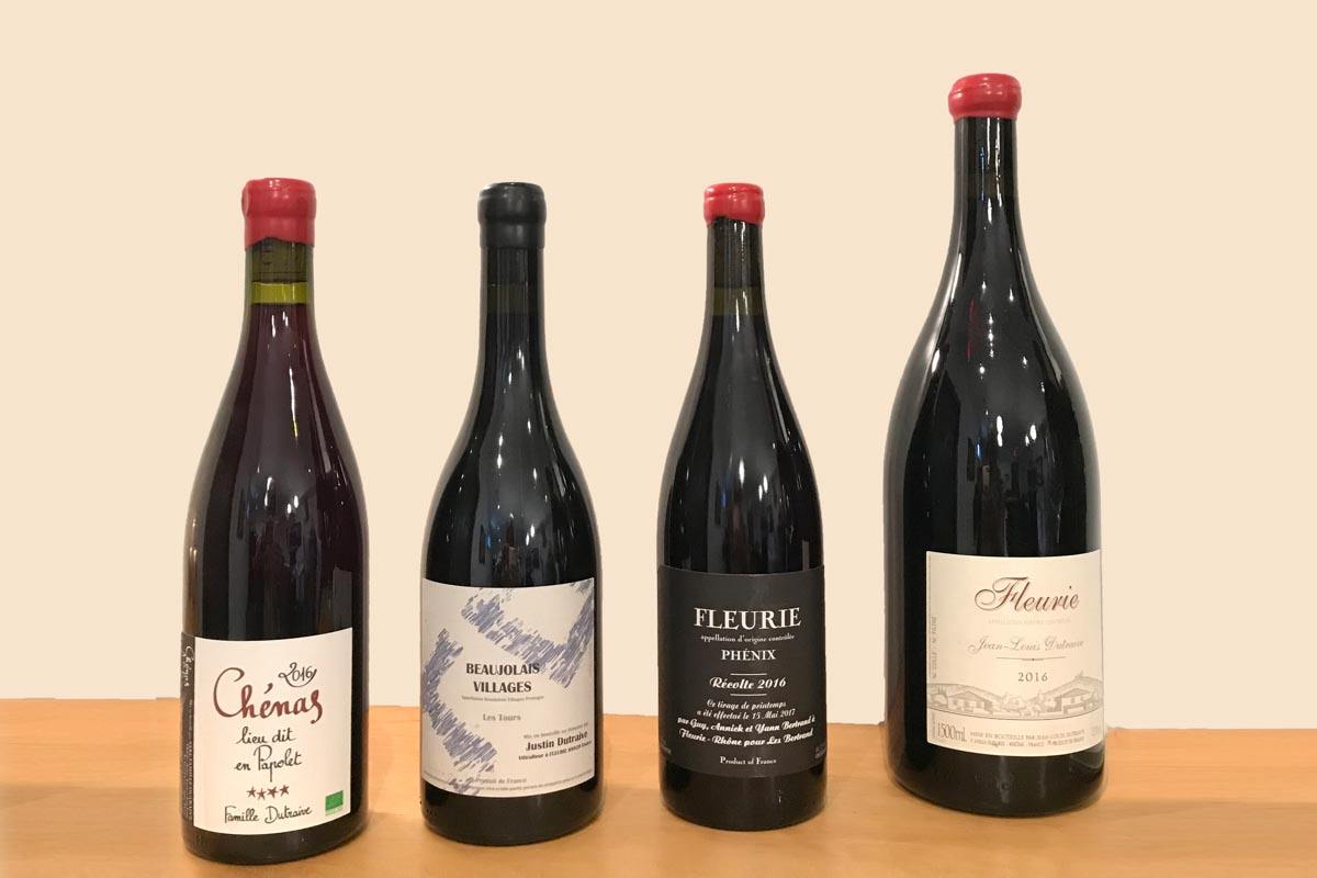 Gamay Beaujolais Tasting Strong Coffee To Red Wine